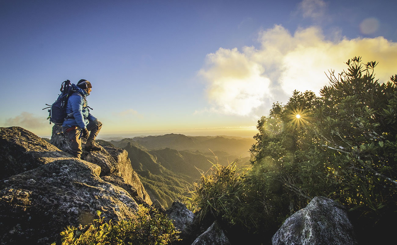 Coromandel | Relaxing Journeys