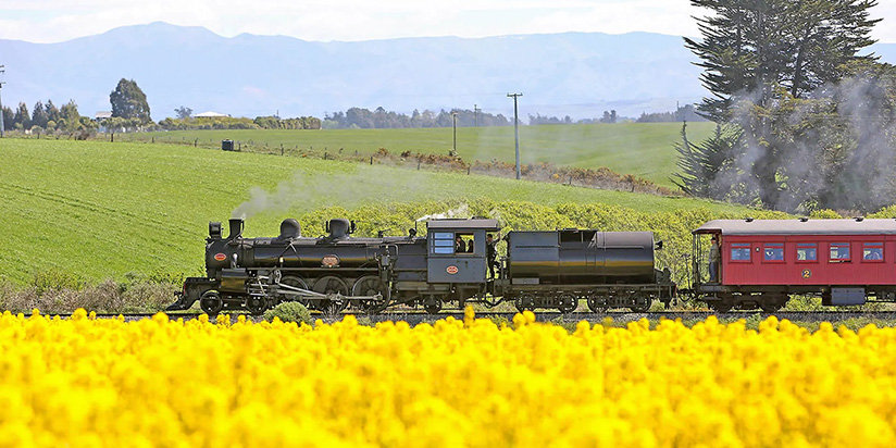New Zealand Rail Journeys | Relaxing Journeys